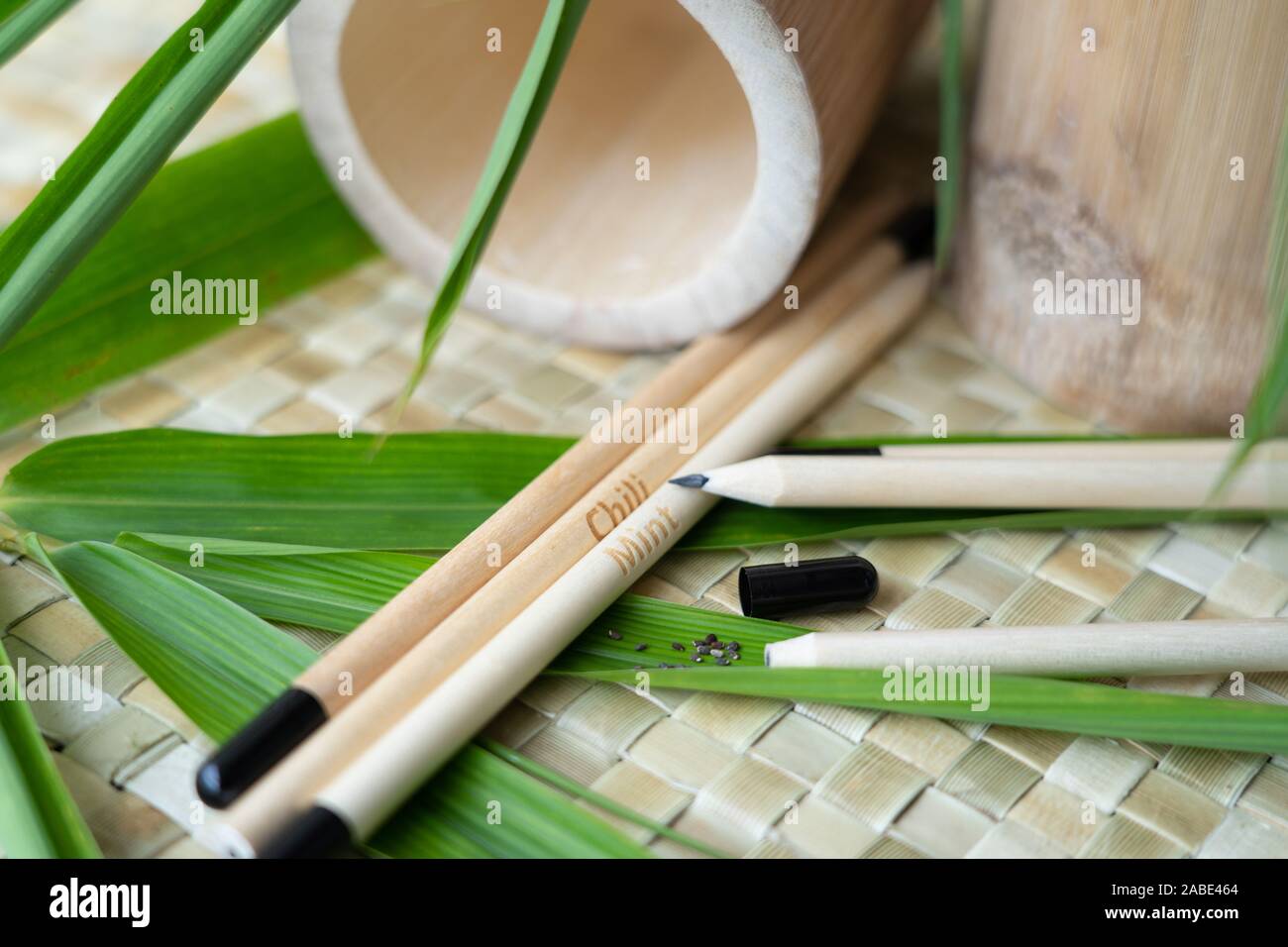 Plantable pencils made out of bamboo.Instead of an eraser at the end, a ...