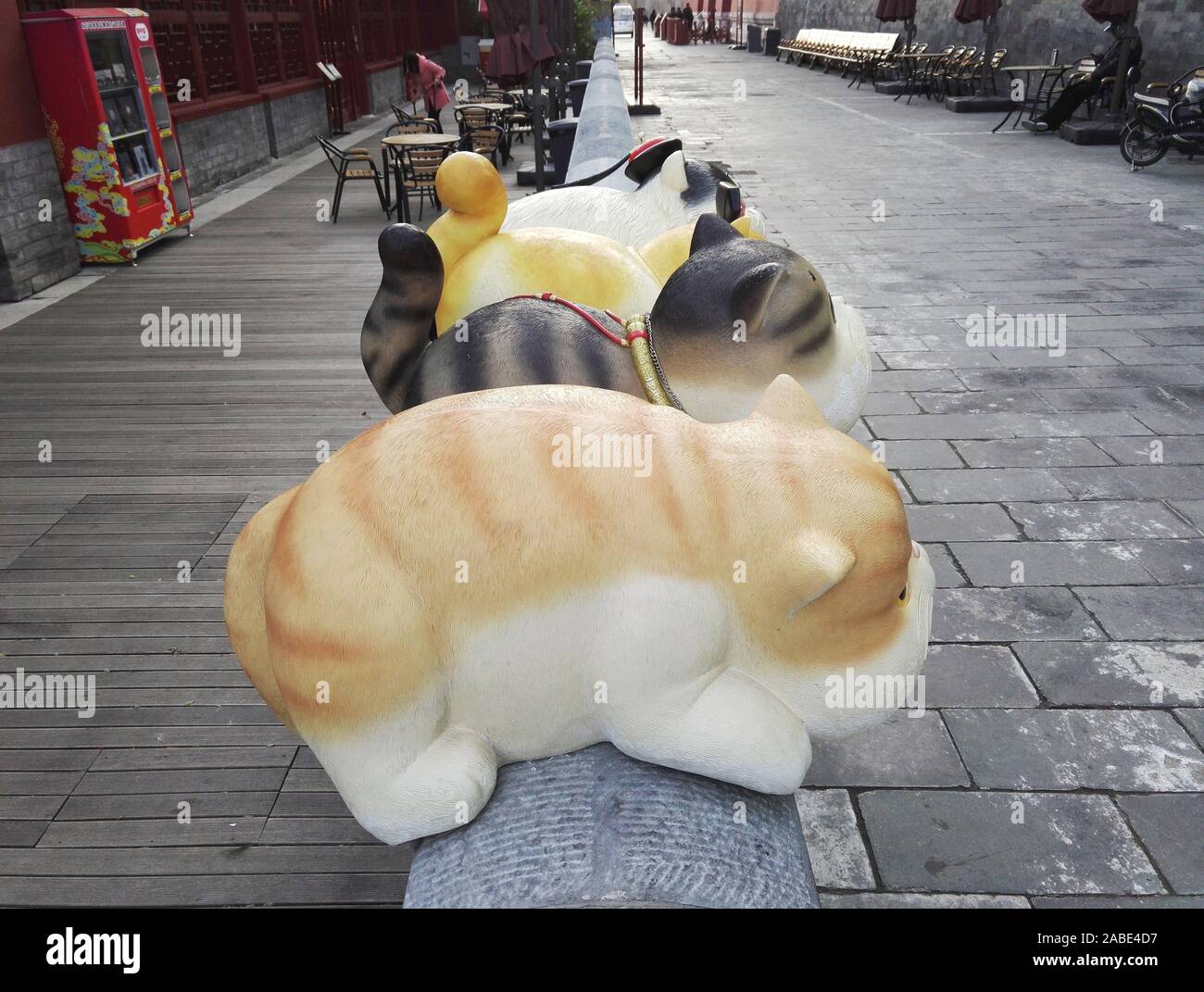Cute giant cats were put at the Shenwu Gate of the Forbidden City in ...