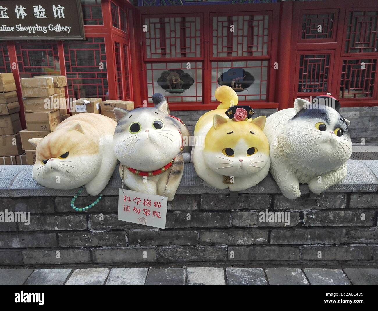 Cute giant cats were put at the Shenwu Gate of the Forbidden City in ...