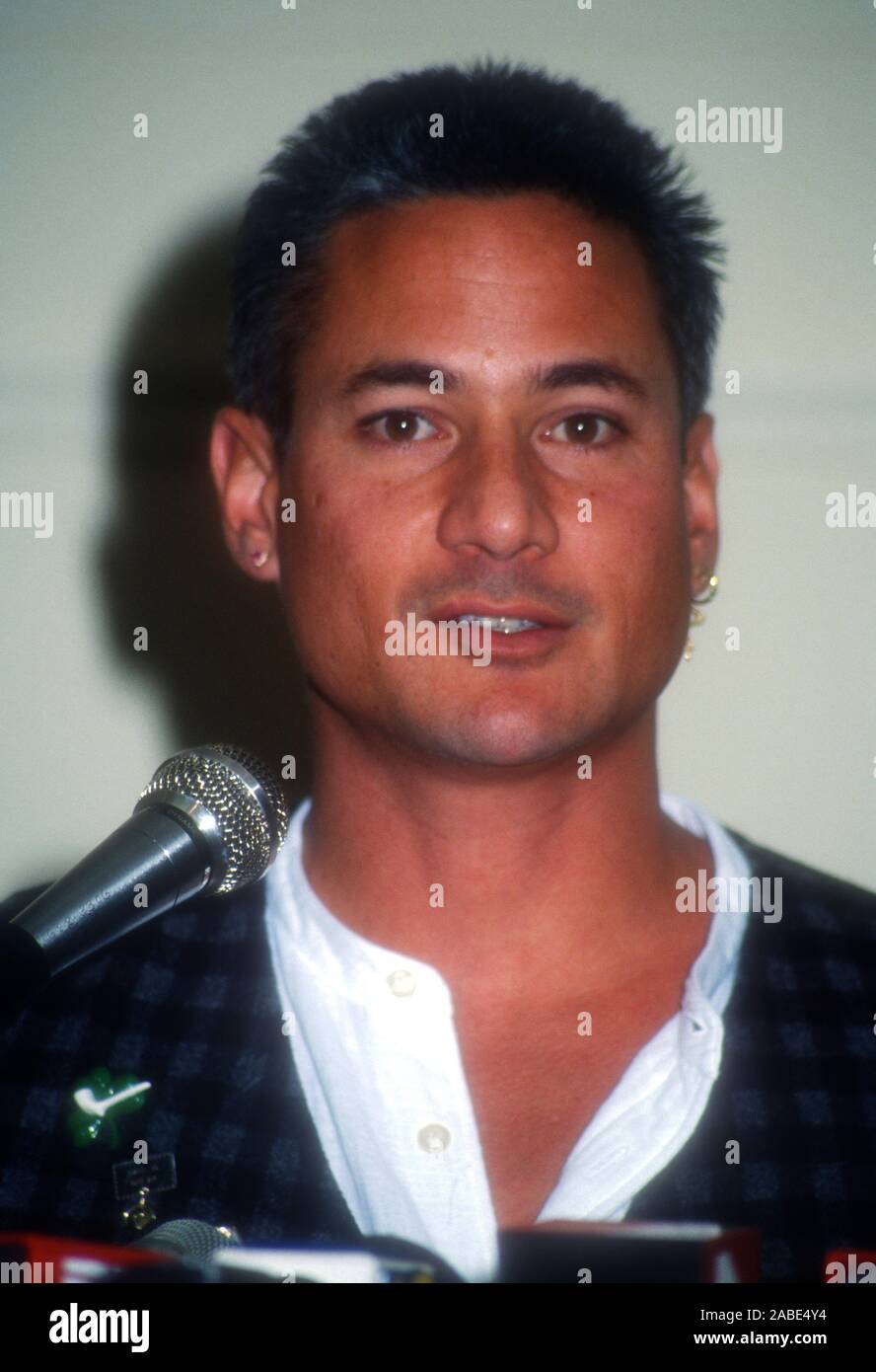 West Hollywood, California, USA 17th March 1995 American Olympian Diver ...