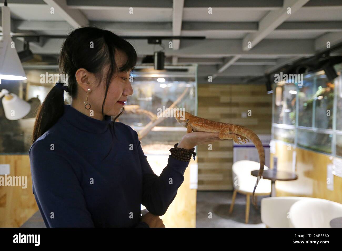 A person holds a bearded dragon lizard in a reptile-themed pet cafe in ...