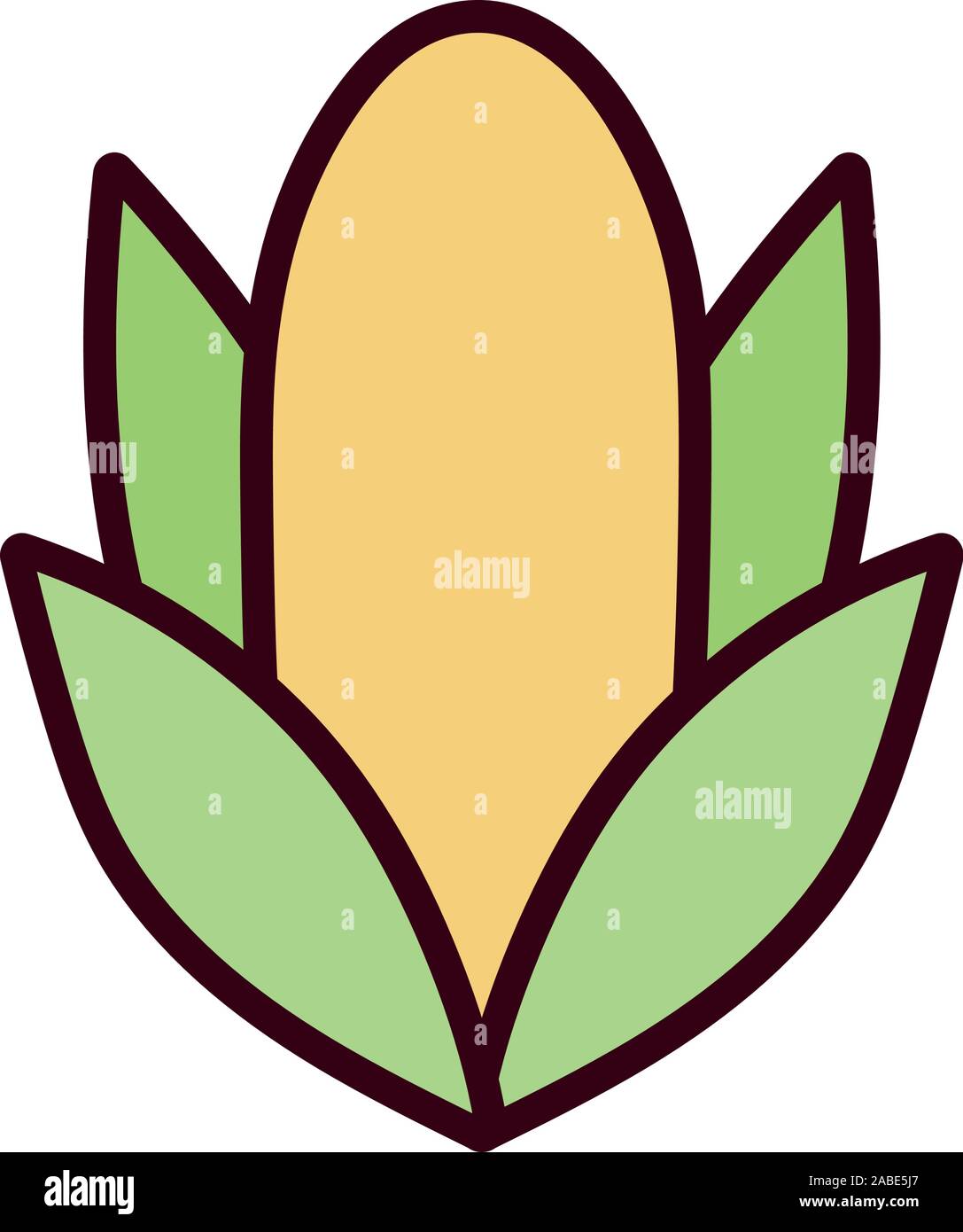 Corn design, Food vegetable agriculture green plant maize cob and ...