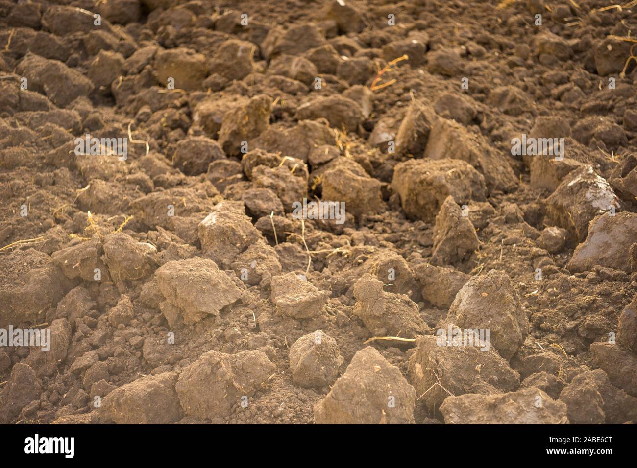 Soil excavated farm hi-res stock photography and images - Alamy