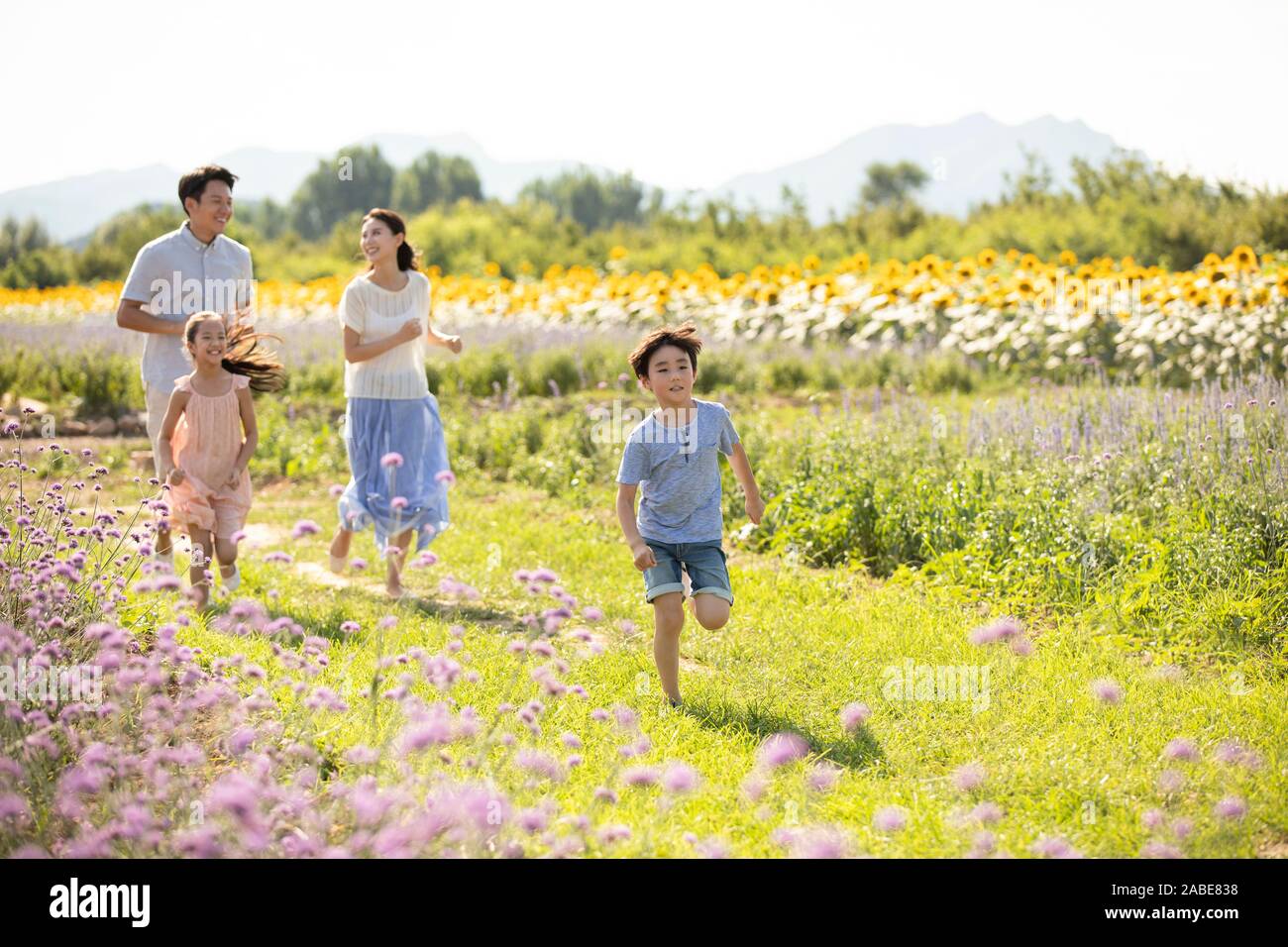 Happy young family in flower field Stock Photo - Alamy