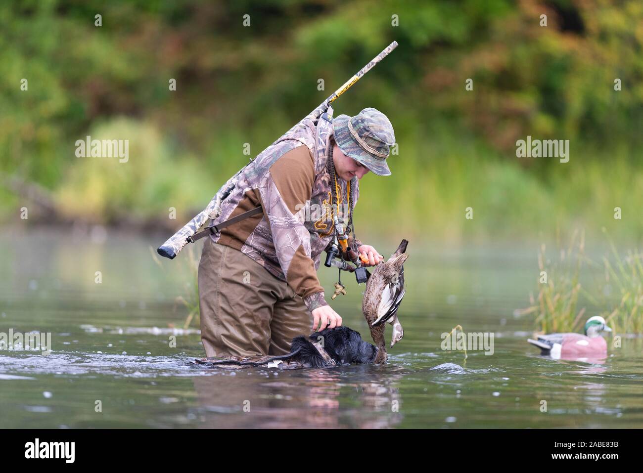Hunting duck hi-res stock photography and images - Alamy