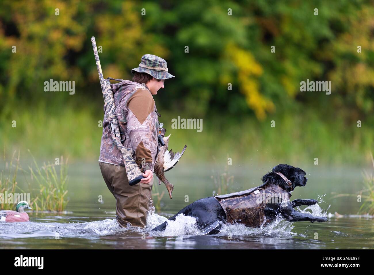 A Young Duck hunter and his hunting dog Stock Photo - Alamy