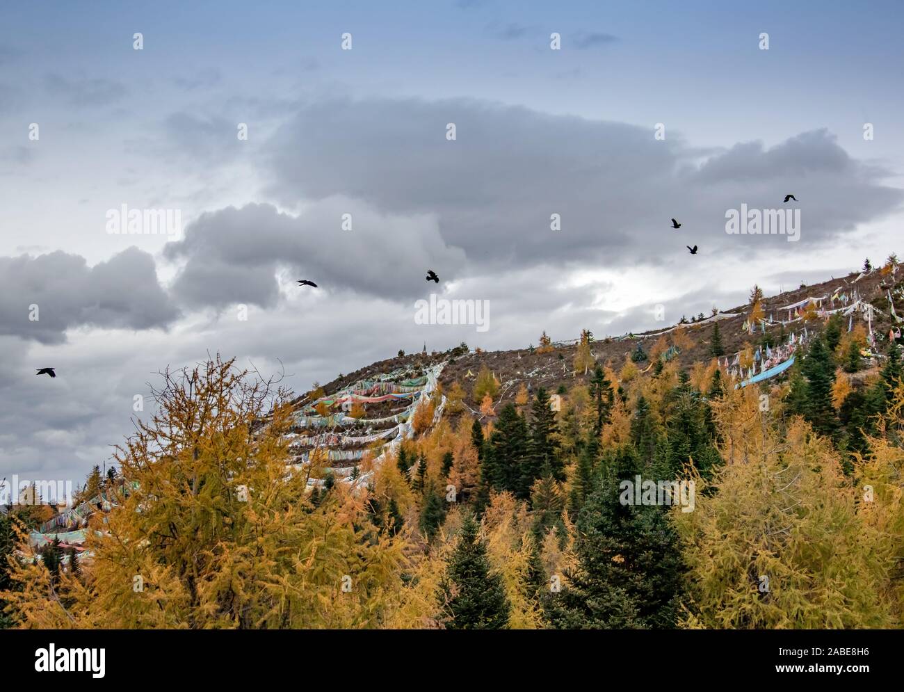 A view of adjacent scenery outside Pumuling Temple located at Yajiang ...