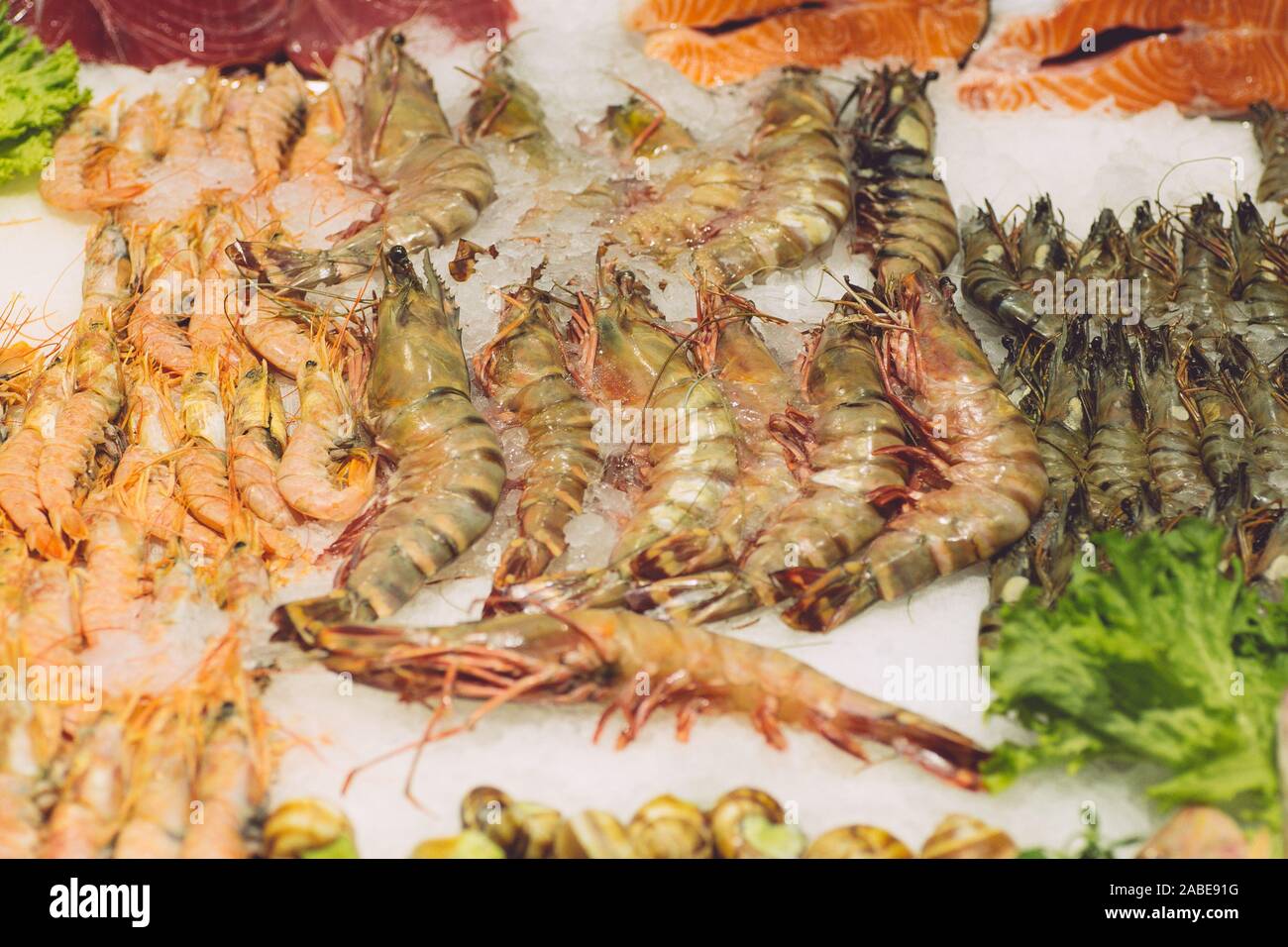Fresh prawns (shrimps) on a fish shop window. Species and variety of ...
