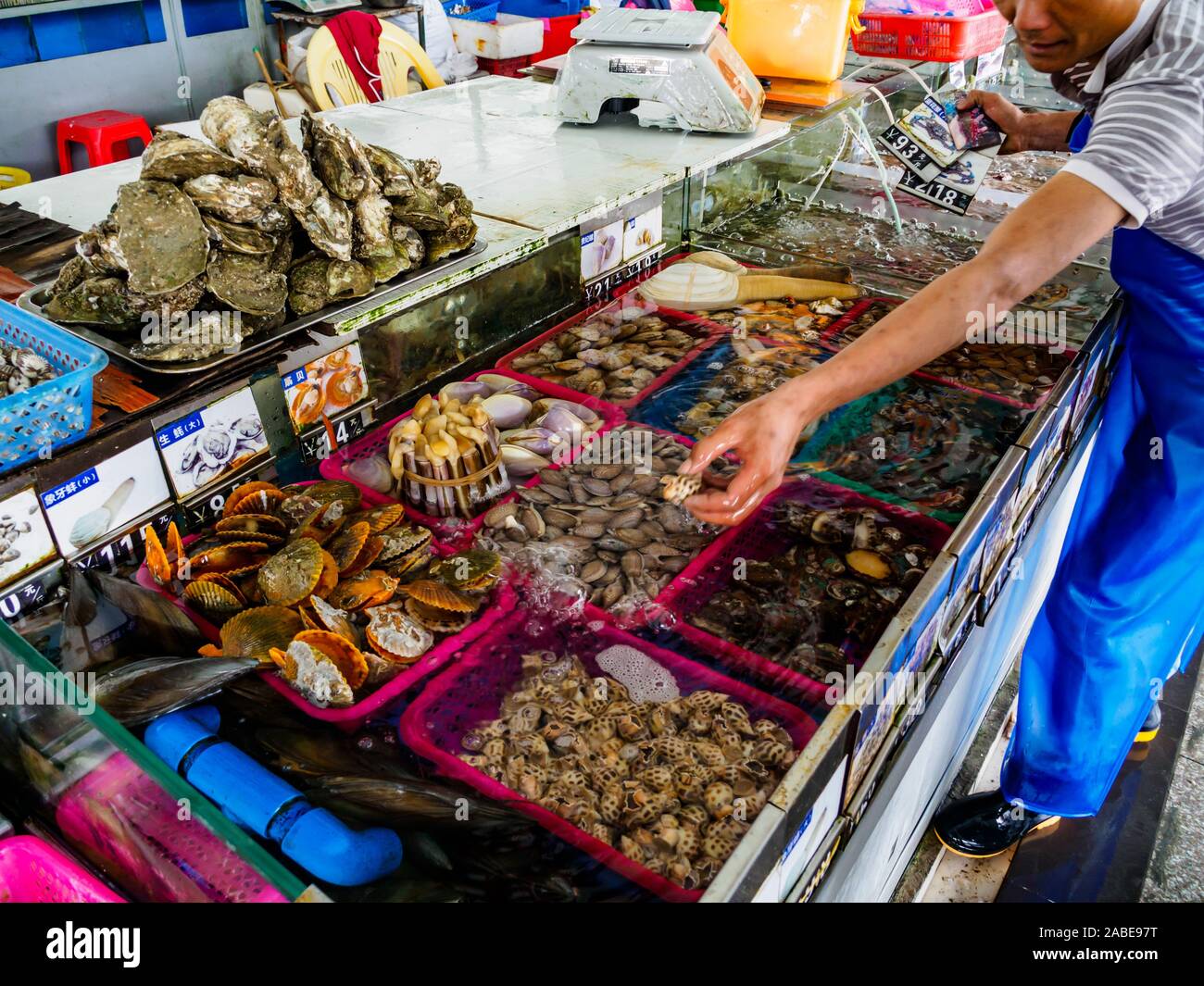 Live seafood hi-res stock photography and images - Alamy