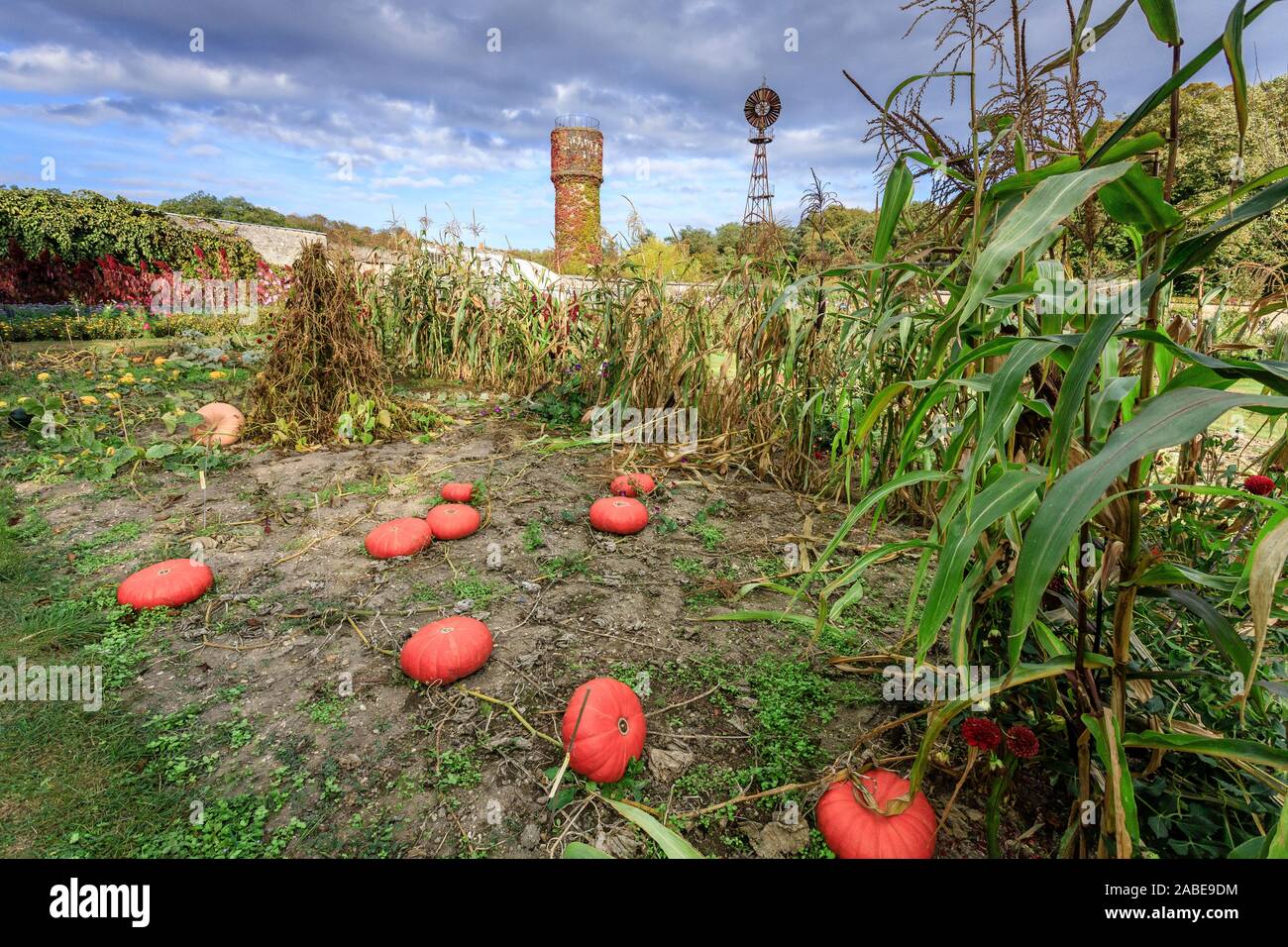Conservatoire de la tomate hi-res stock photography and images - Alamy