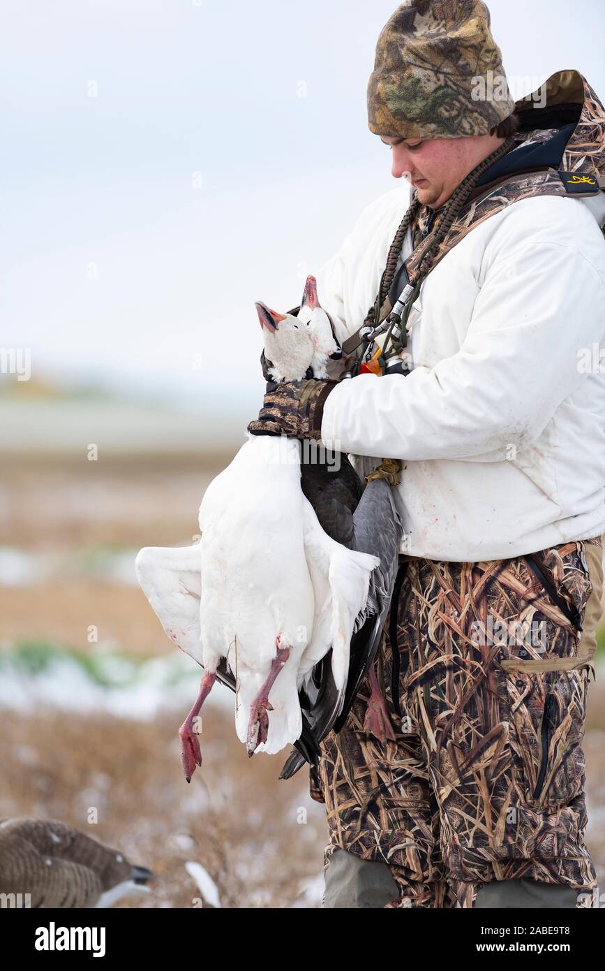 Hunting for a goose hi-res stock photography and images - Alamy