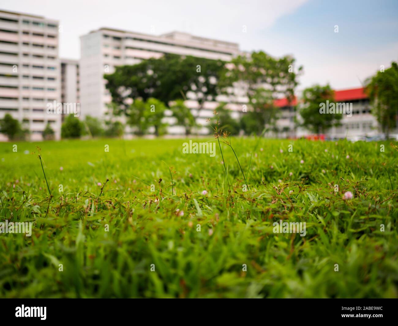 Singapore hdb park hi-res stock photography and images - Alamy