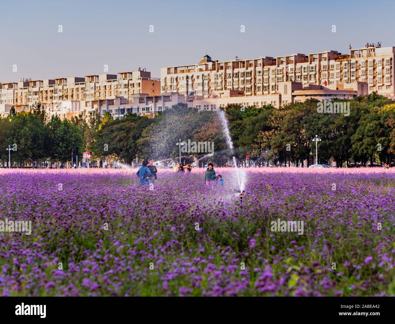 Sprinklers in park hi-res stock photography and images - Alamy