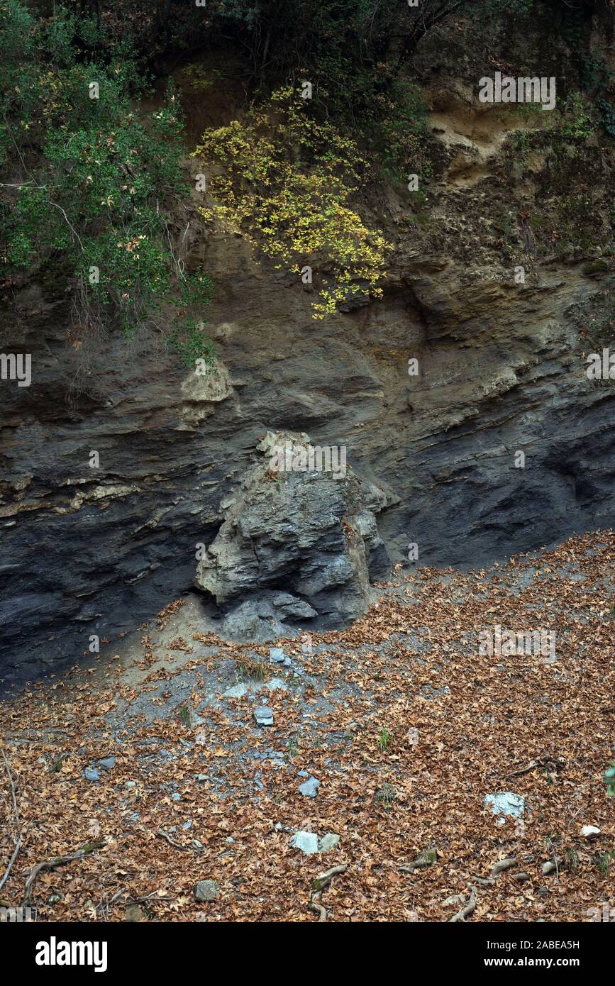 landscape of black rock and plane trees leaves in Autumn Stock Photo ...