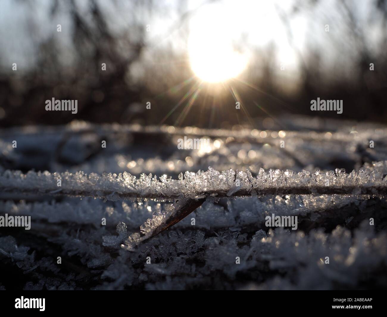 Frost, icing on branches and grass. Change of weather, cold snap ...