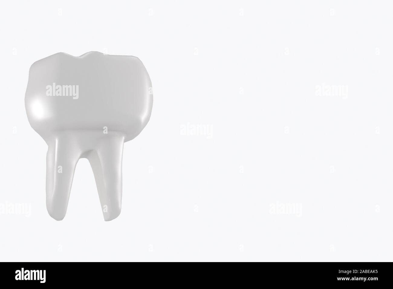 Molar tooth. The structure of the tooth. 3d medical illustration Stock ...