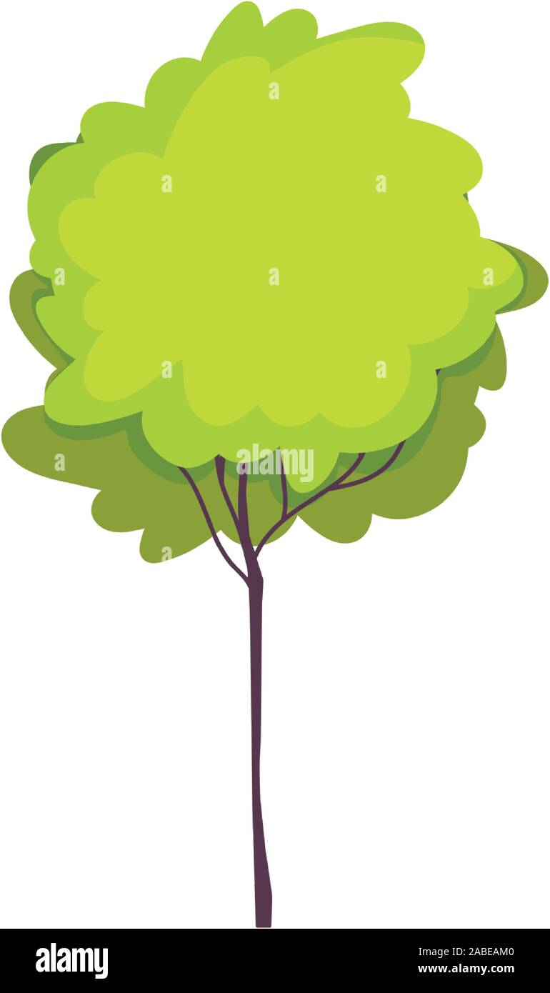 tree foliage nature botanical icon on white background vector ...
