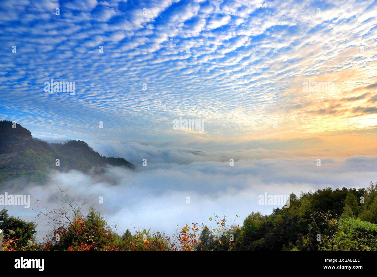 Fish-scale-like cloud, also known as Altocumulus translucidus, which ...