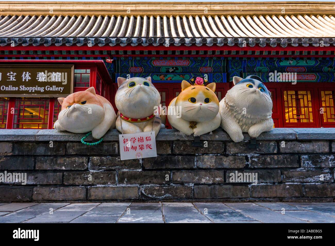 Giant cats are put at the Shenwu Gate of the Forbidden City in Beijing ...