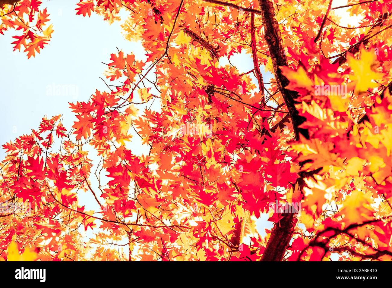 Seasonal travel, retro backdrop and rural environment concept ...