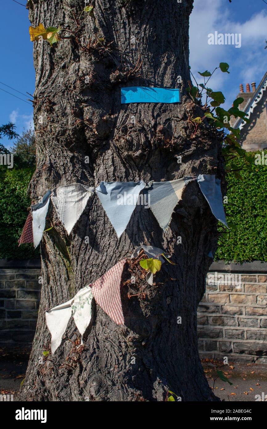 Urban tree with bunting and its CAVAT valuation, the focus of tree ...