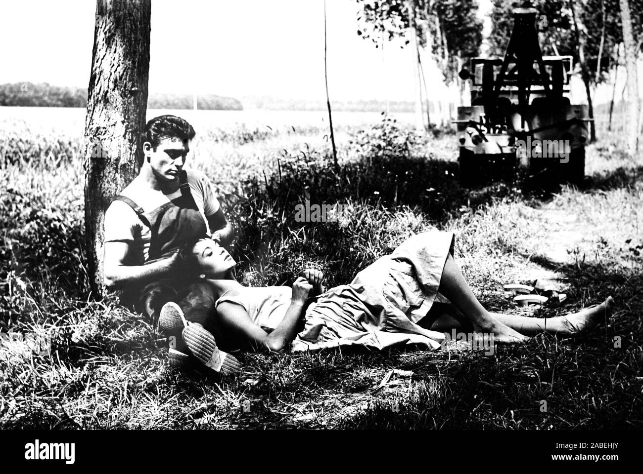 RICE GIRL, (aka LA RISAIA), from left, Rik Battaglia, Elsa Martinelli ...