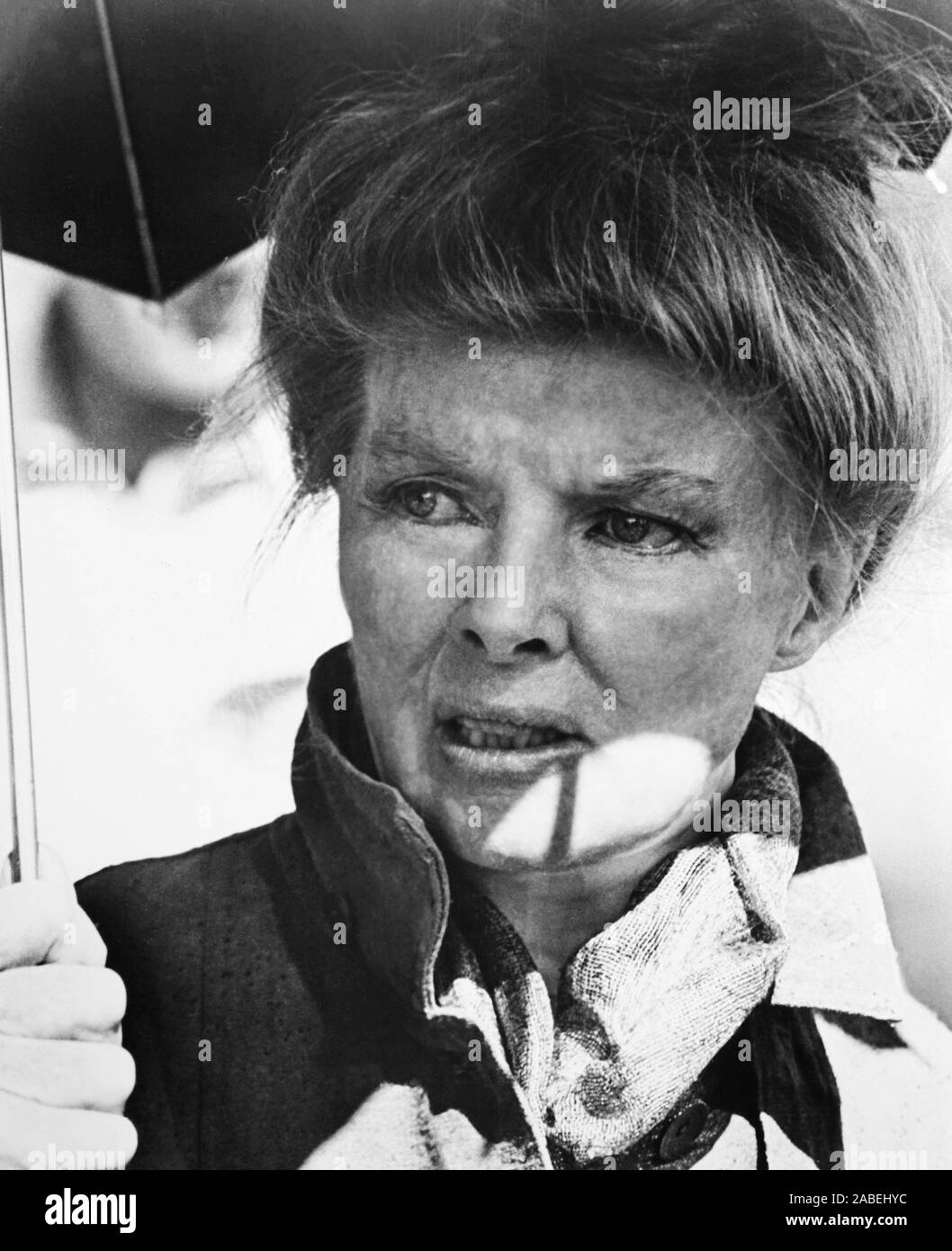 ROOSTER COGBURN, Katharine Hepburn, 1975 Stock Photo - Alamy