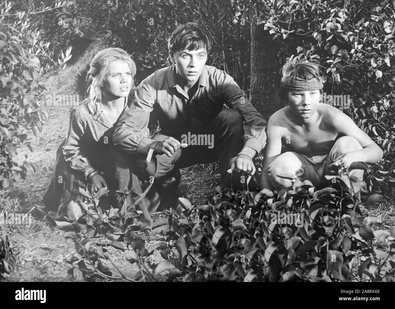 Tommy Kirk And Kevin Corcoran Kevin Corcoran, Known To Generations Of