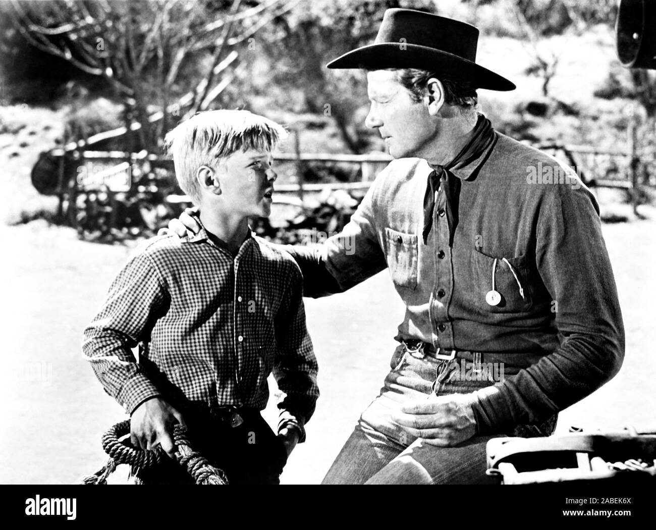 SADDLE TRAMP, from left, Orley Lindgren, Joel McCrea, 1950 Stock Photo ...