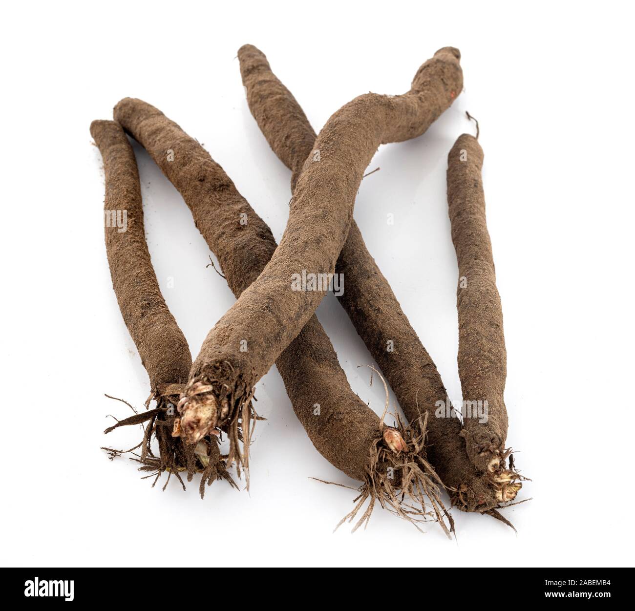 fresh salsifys in front of white background Stock Photo - Alamy