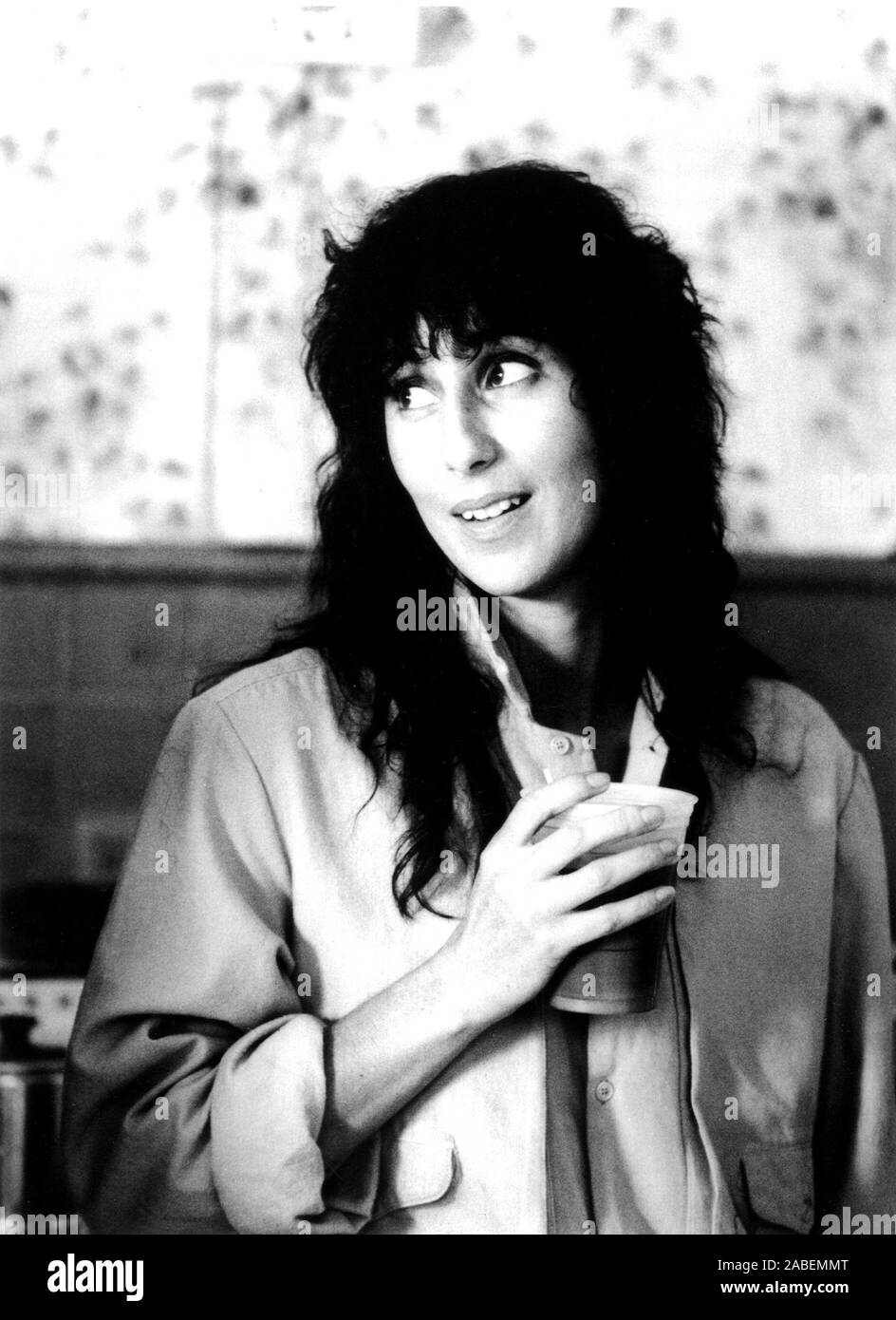 SILKWOOD, Cher, 1983, TM and Copyright ©20th Century Fox Film Corp. All ...