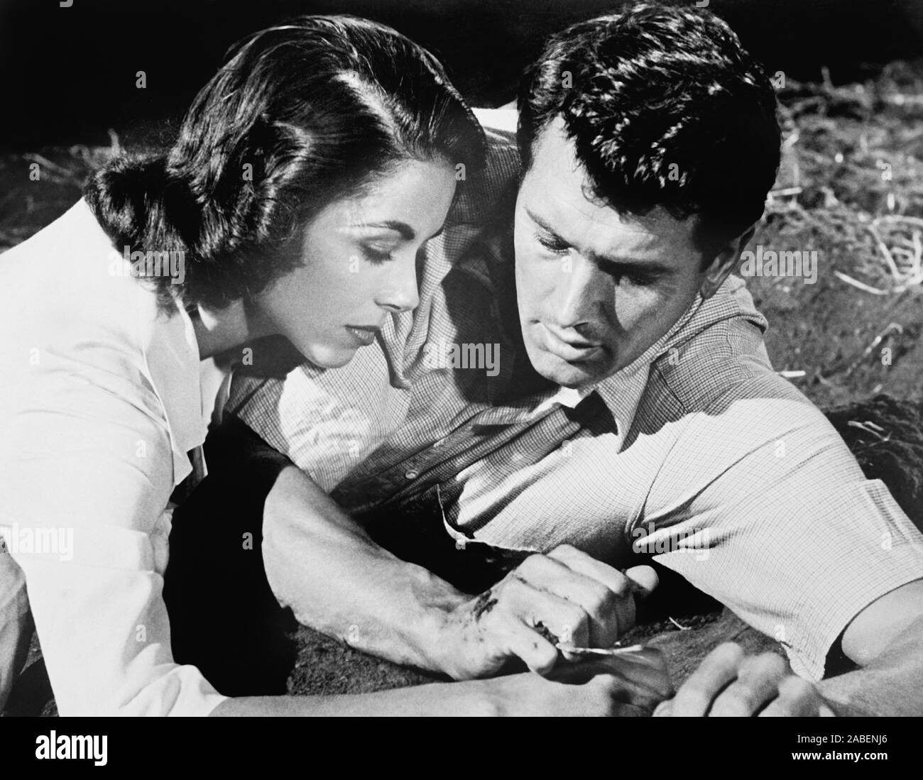 SOMETHING OF VALUE, from left: Dana Wynter, Rock Hudson, 1957 Stock ...
