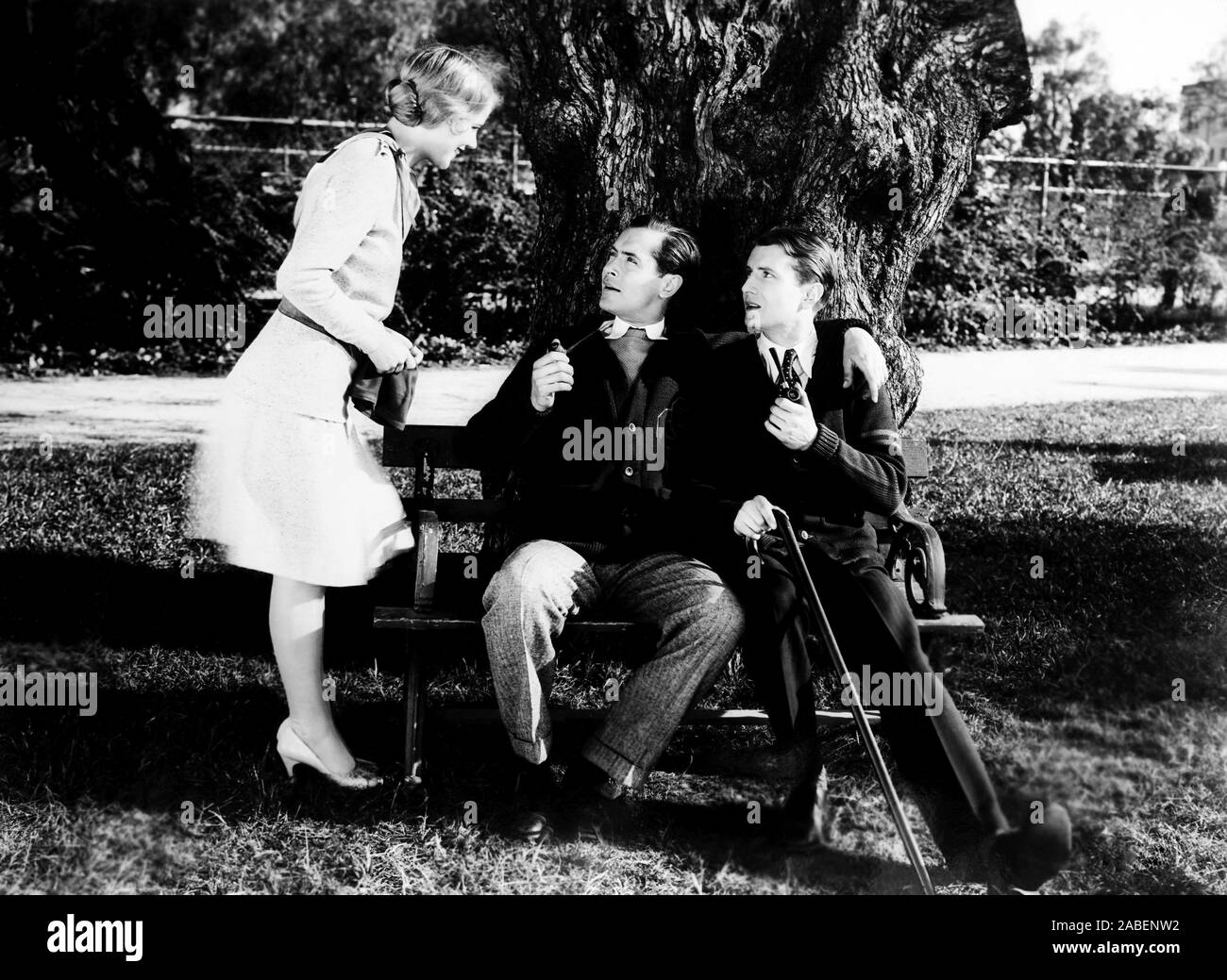 SO THIS IS COLLEGE, from left, Dorothy Dehn, Robert Montgomery, Elliott ...