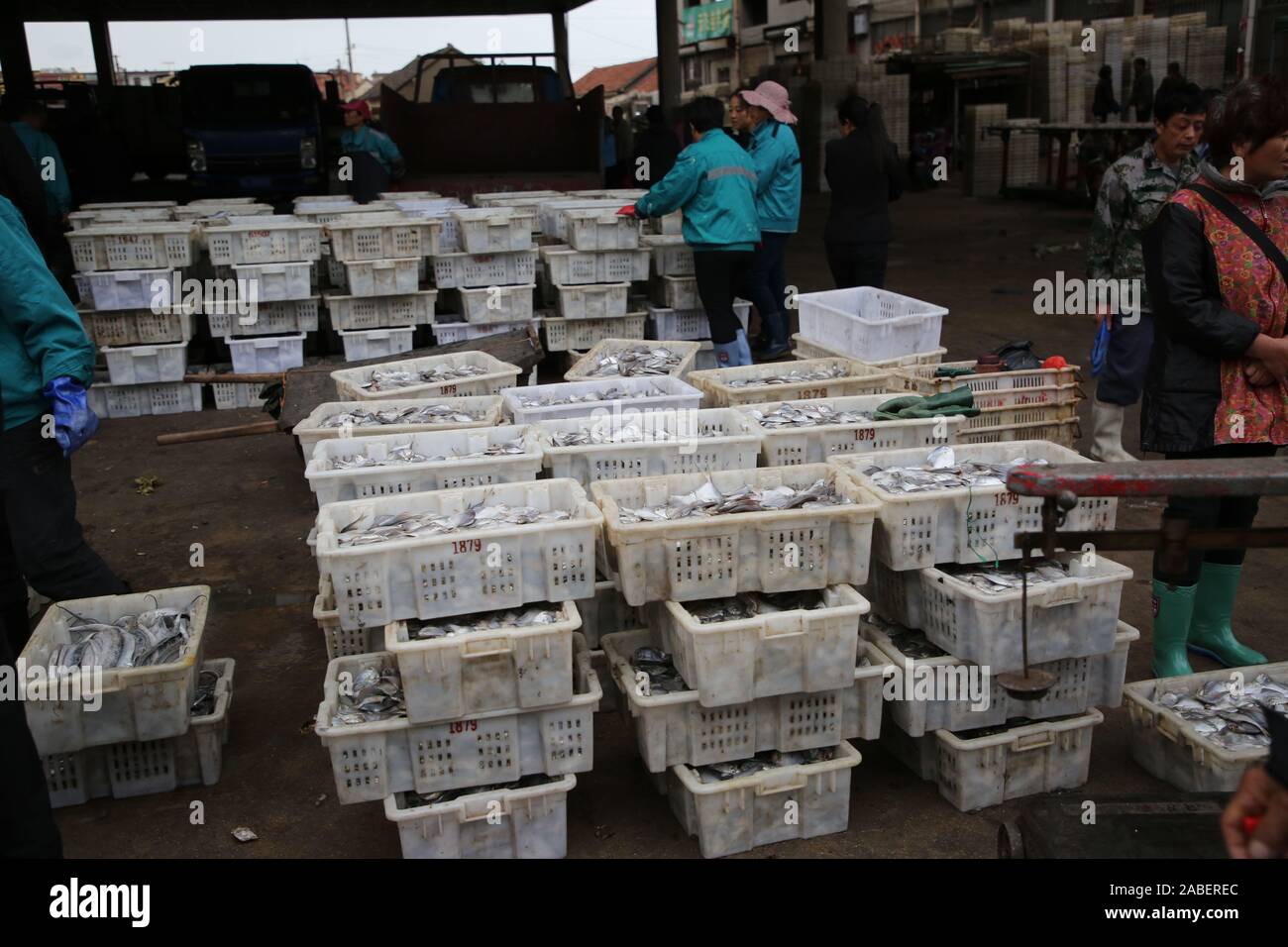 Fishermen categorize numerous seafoods in order and wait for consumers ...