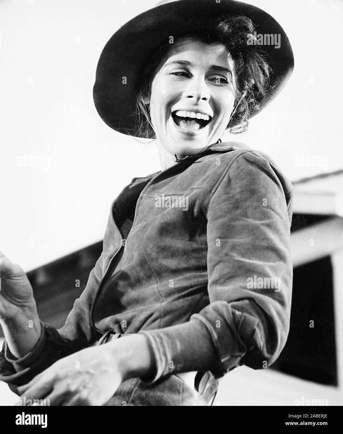 SUPPORT YOUR LOCAL SHERIFF, Joan Hackett, 1969 Stock Photo - Alamy