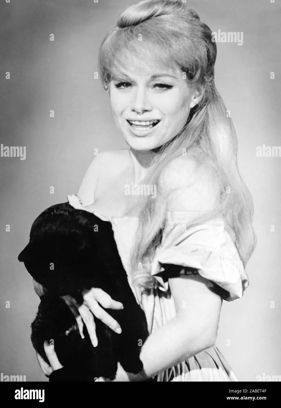 TALES OF TERROR, Joyce Jameson, 1962 Stock Photo - Alamy