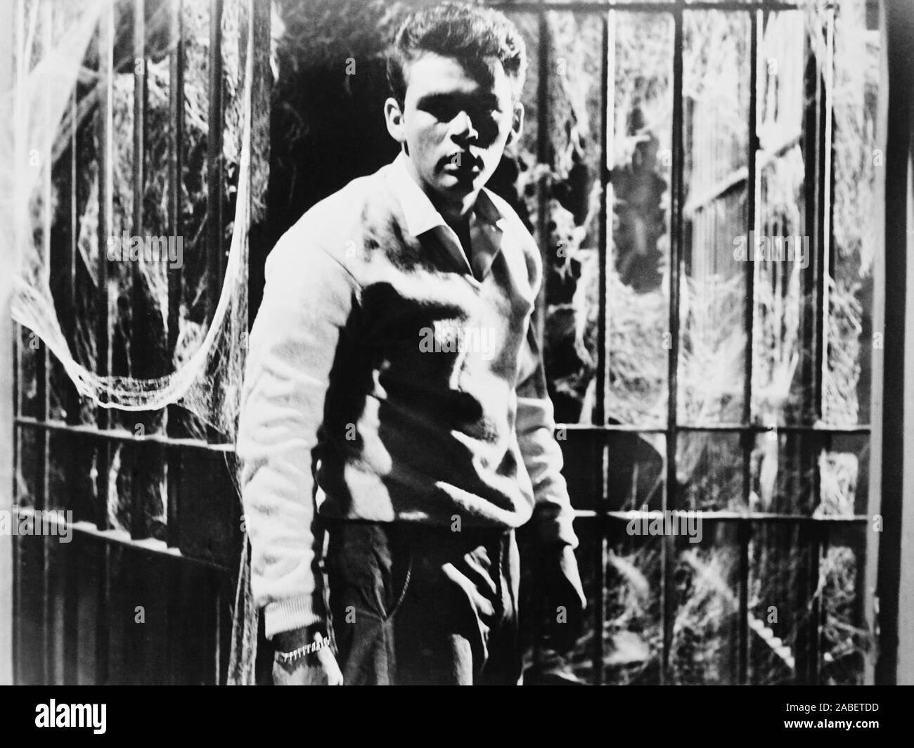 TERRIFIED, Rod Lauren, 1963 Stock Photo - Alamy