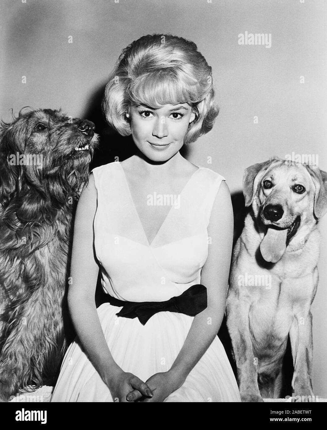 THAT FUNNY FEELING, Sandra Dee, 1965 Stock Photo - Alamy