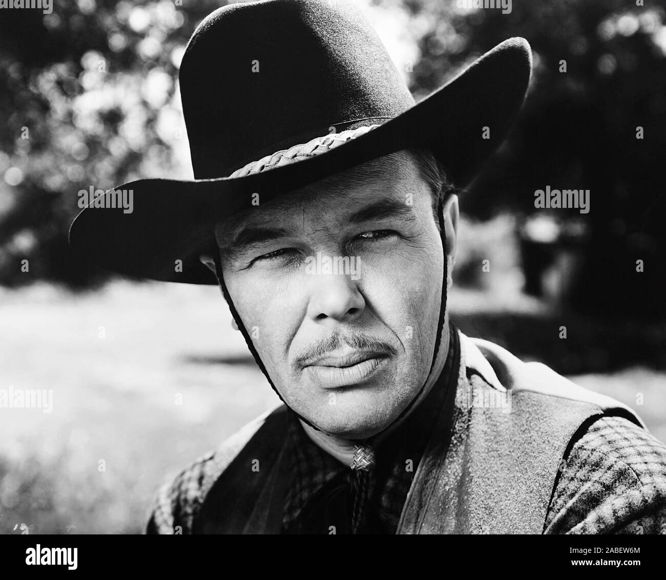 THREE MEN FROM TEXAS, Dick Curtis, 1940 Stock Photo - Alamy