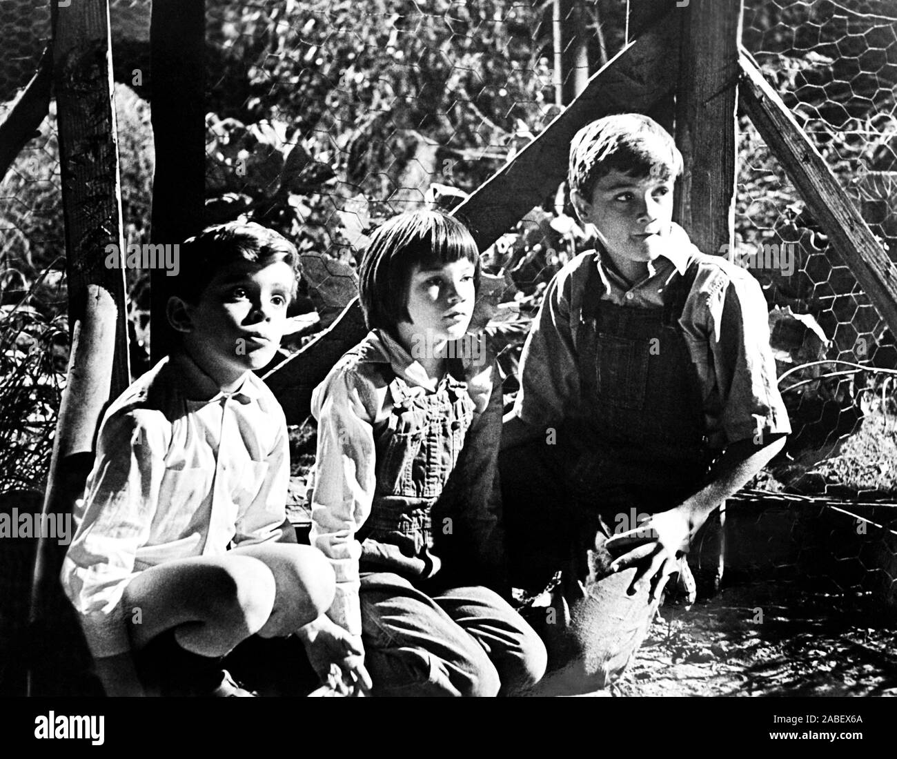 TO KILL A MOCKINGBIRD, from left, John Megna, Mary Badham, Philip ...