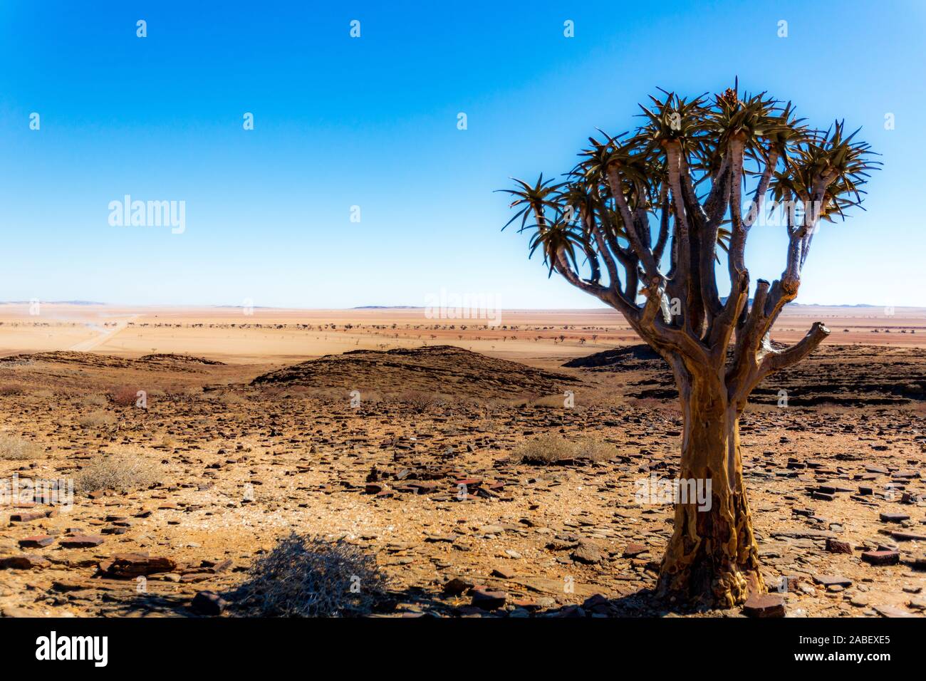 Landscape of Namibia, Africa Stock Photo - Alamy