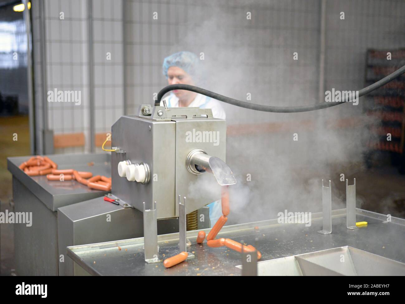 food industry workplace - butchery factory for the production of ...