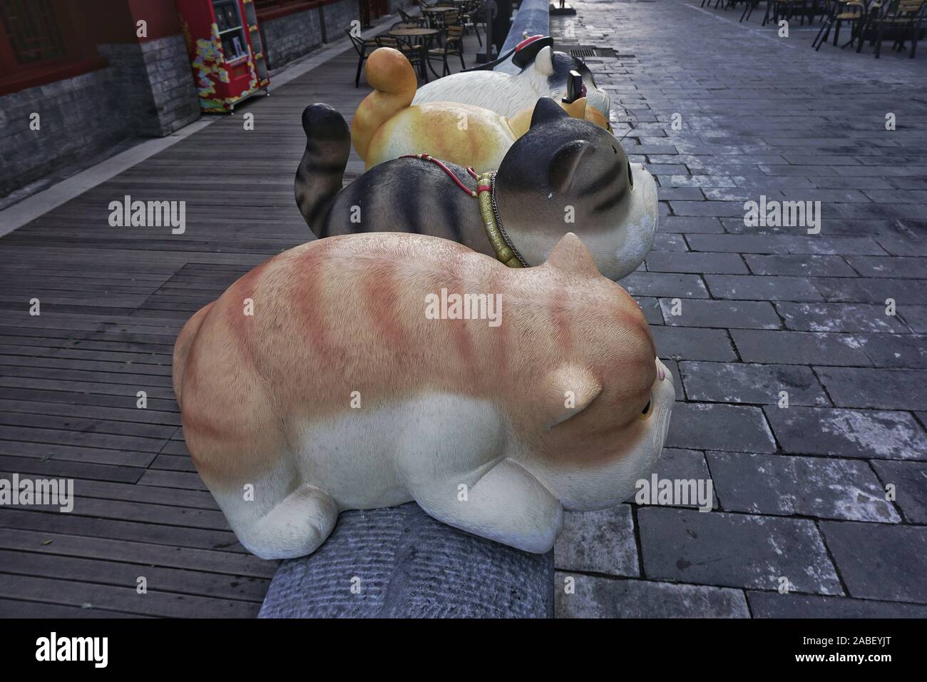 Cute giant cats were put at the Shenwu Gate of the Forbidden City in ...