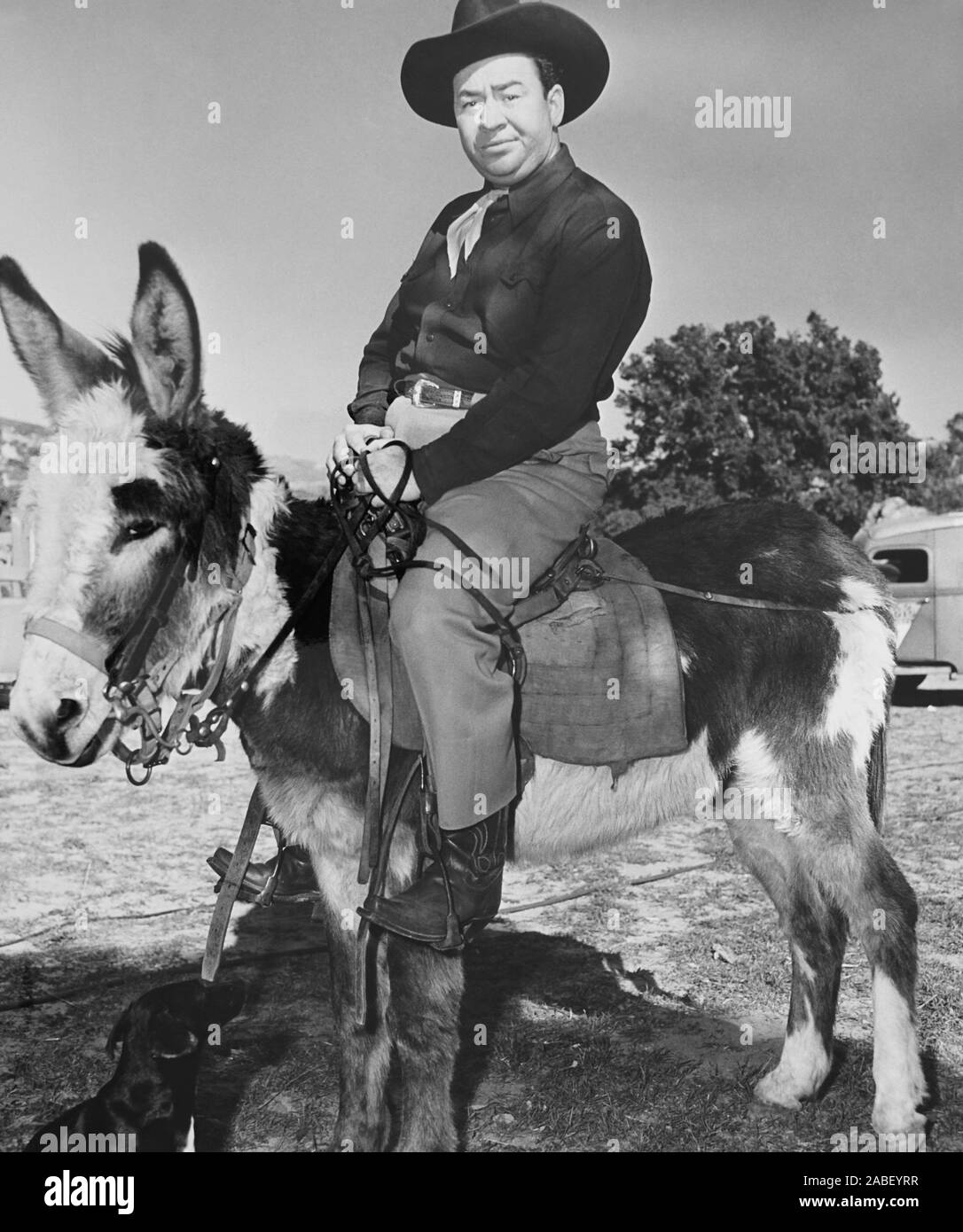 VACATION IN RENO, Alan Carney, 1946 Stock Photo - Alamy