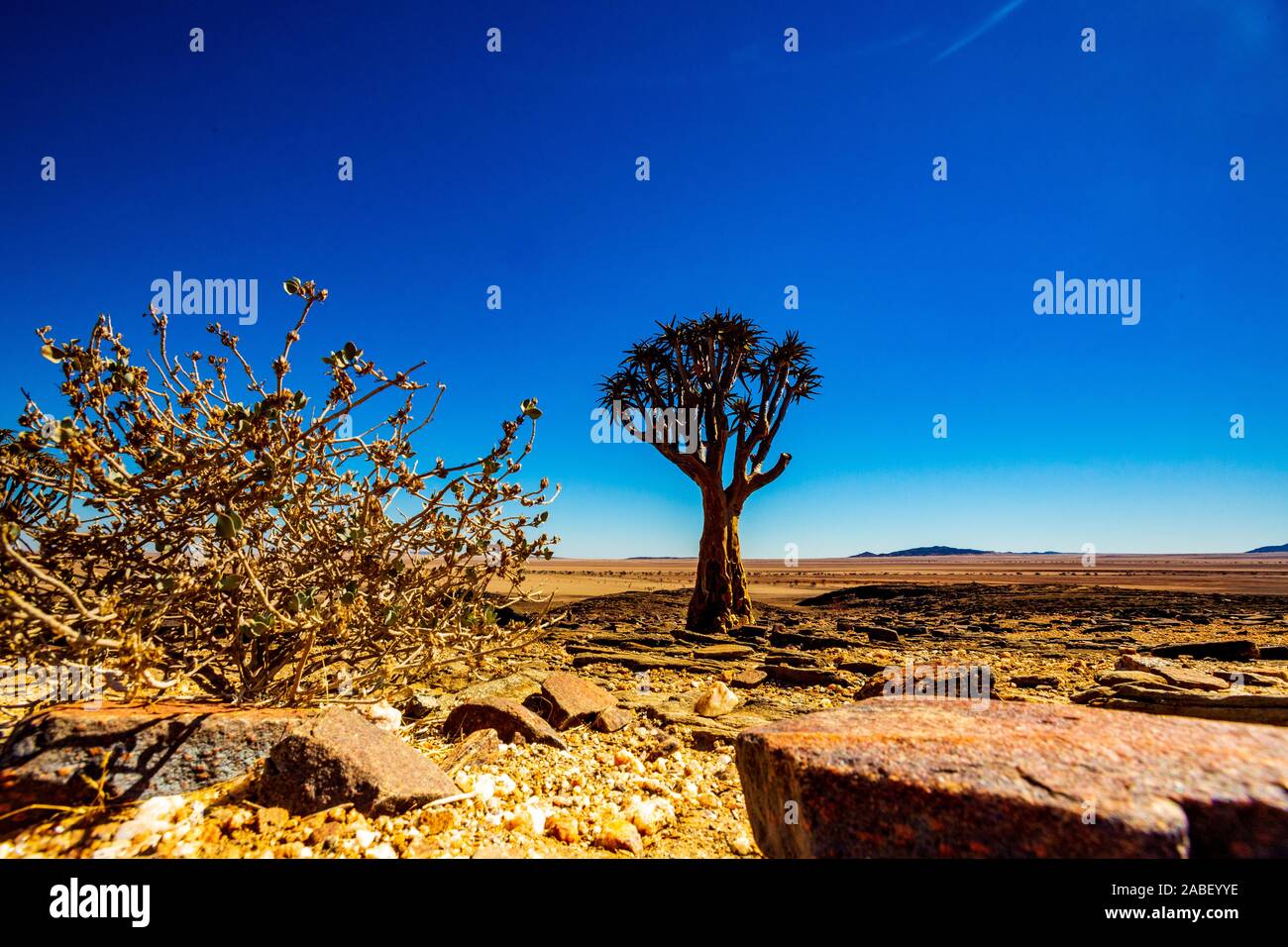 Landscape of Namibia, Africa Stock Photo - Alamy
