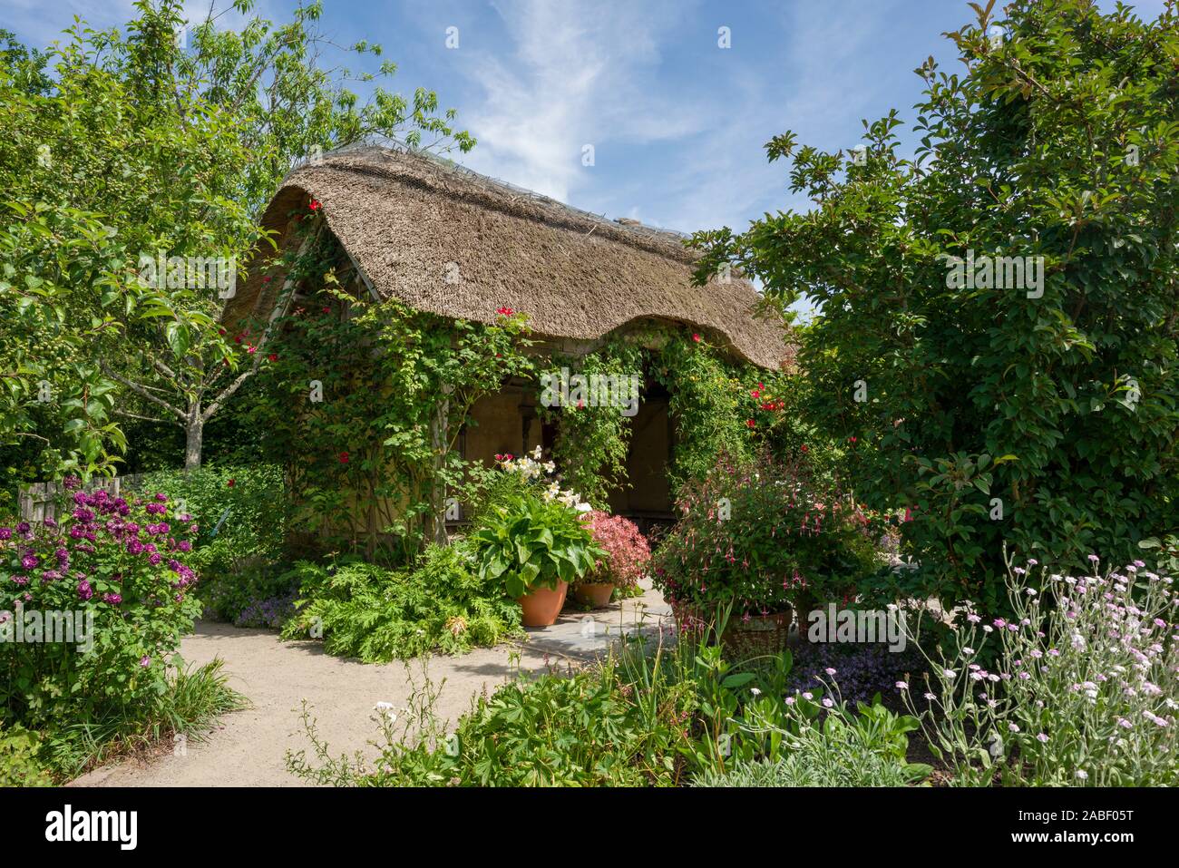 RHS Rosemoor garden in summer near Great Torrington, Devon, England ...
