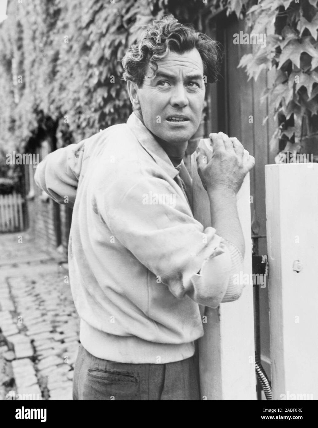 WEB OF SUSPICION, Philip Friend, 1959 Stock Photo - Alamy