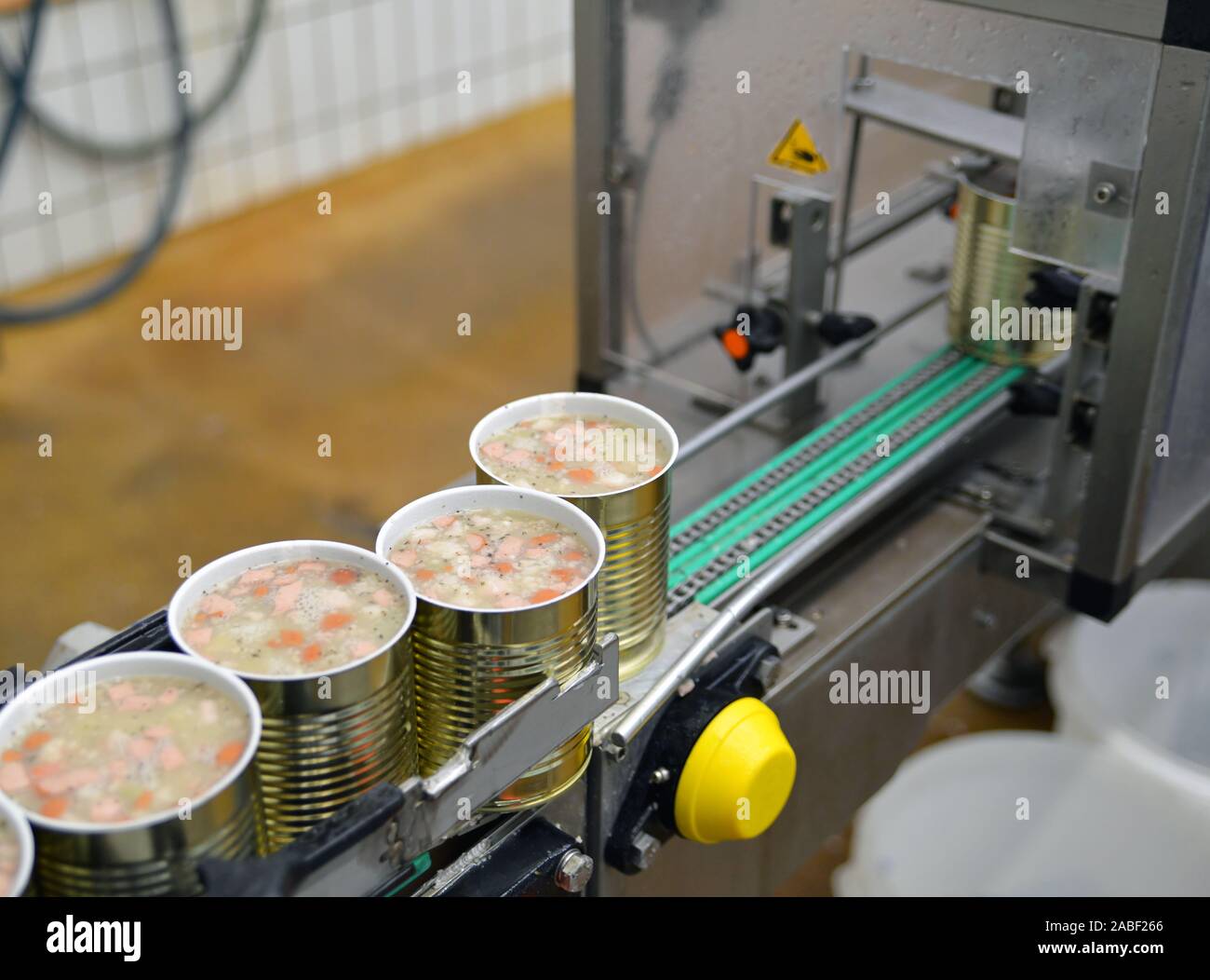 workplace food industry - factory butchery for the production of ...