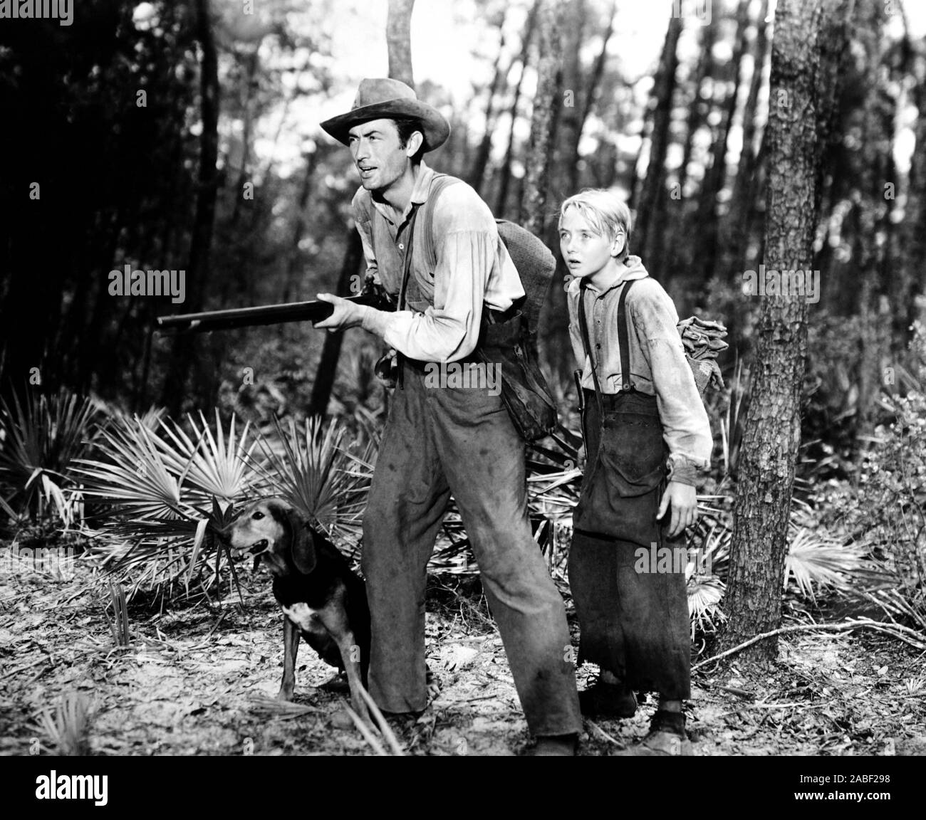 THE YEARLING, from left, Gregory Peck, Claude Jarman, Jr., 1946 Stock ...