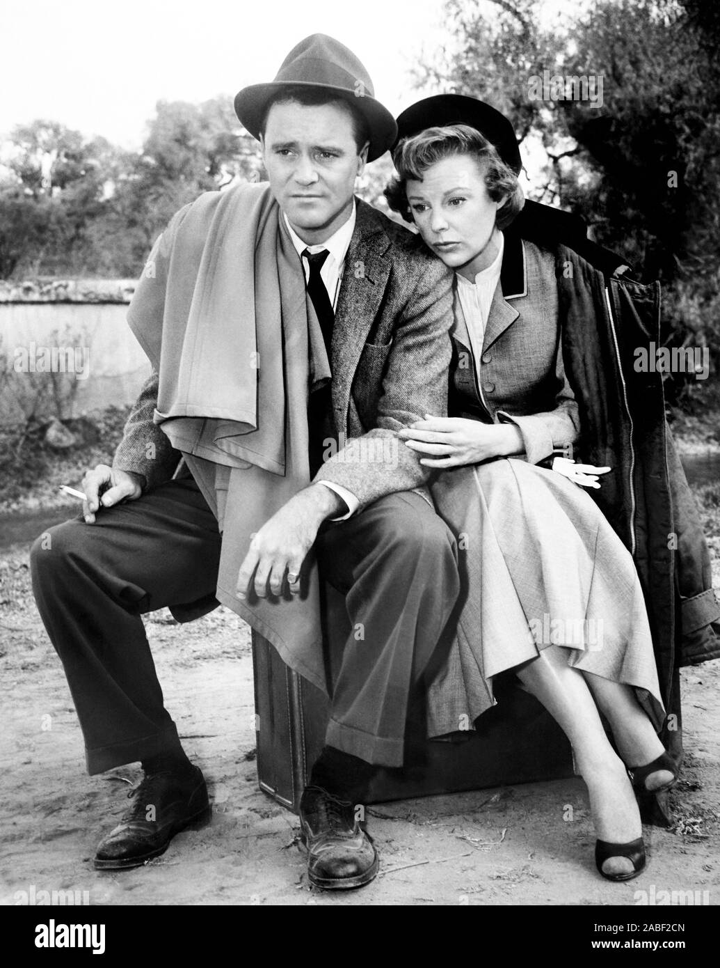 YOU CAN'T RUN AWAY FROM IT, from left, Jack Lemmon, June Allyson, 1956 ...